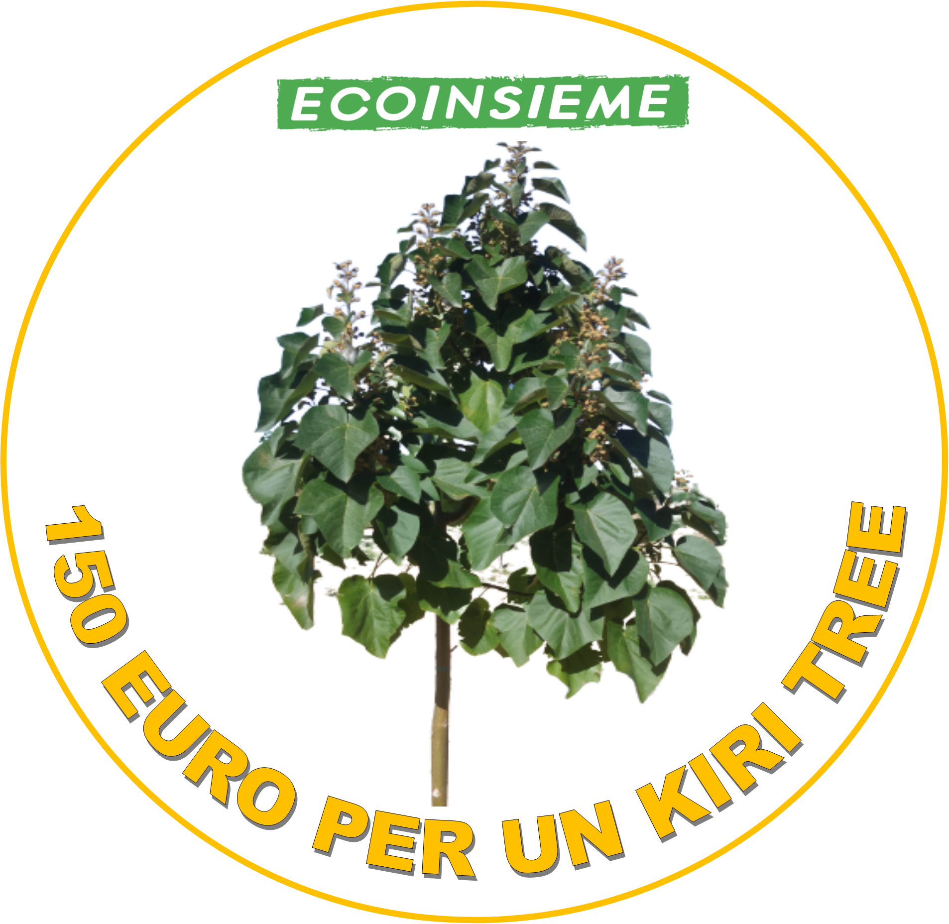 ECOINSIEME | Progetti